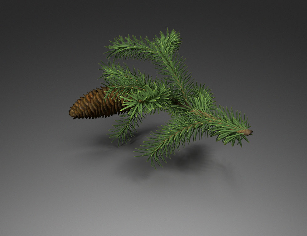 XMS036c_Pine_Tree_Sprig_02_2_v2 | 3D Modeling Resources
