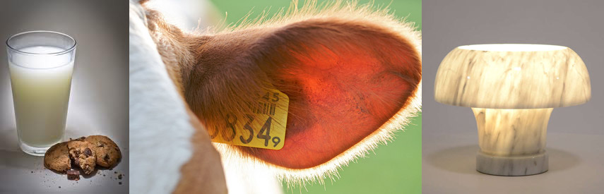 sss_samples | 3D Modeling Resources